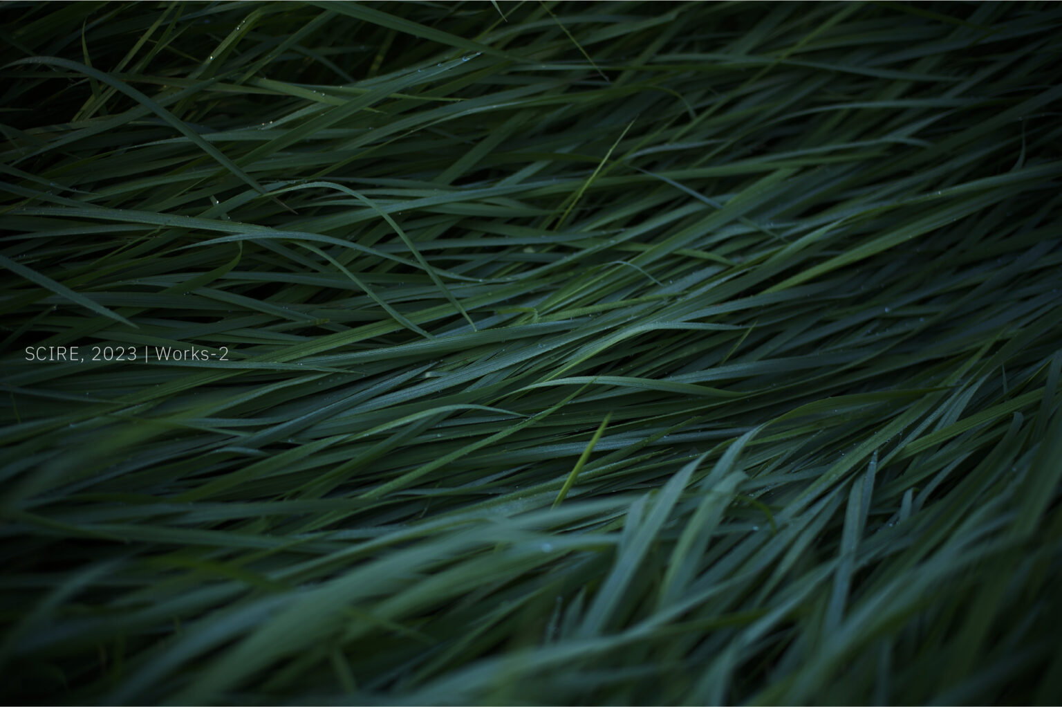 2023 | Works_2 – SCIRE