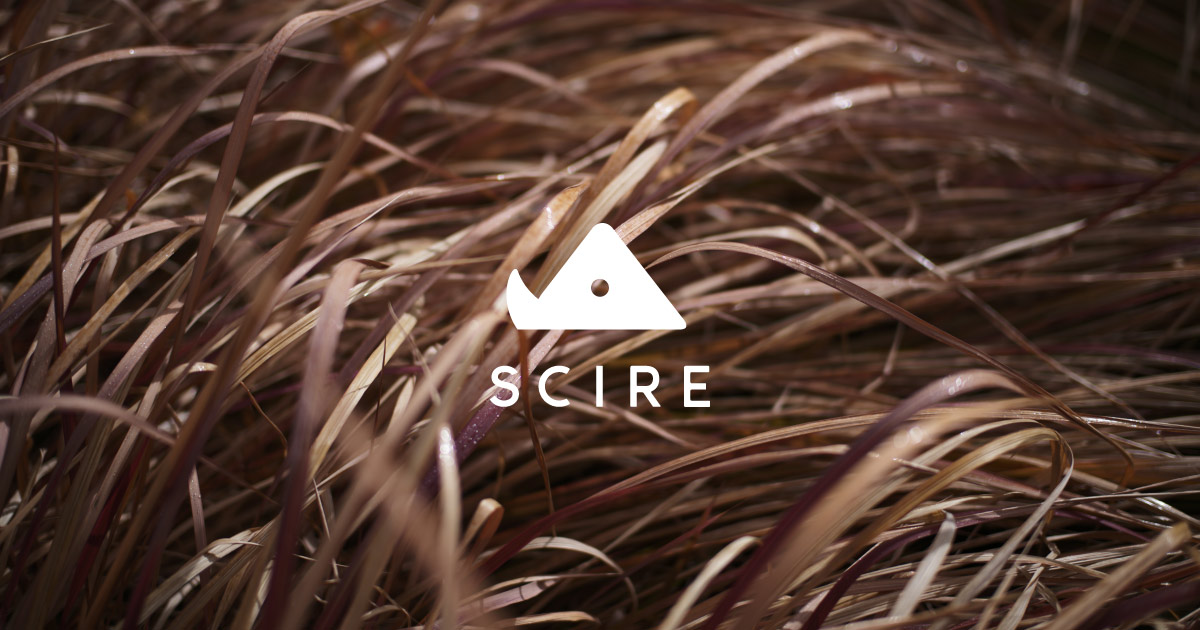 Works – SCIRE